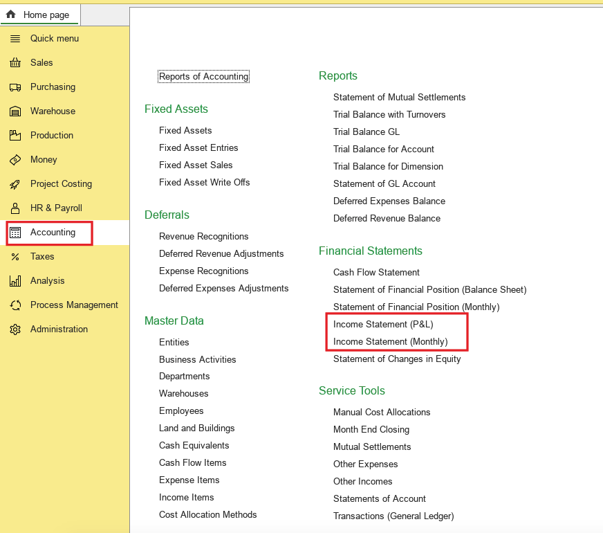 Income Statement (P&L) - FirstBit User Help - Confluence FirstBit